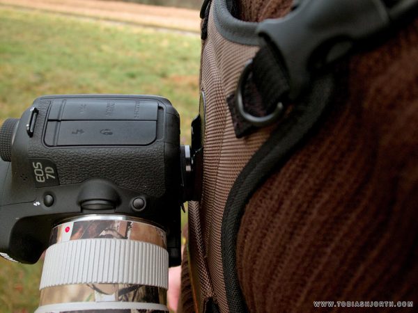 Cotton Carrier Camera Vest review • Tobias Hjorth Nature Photographer
