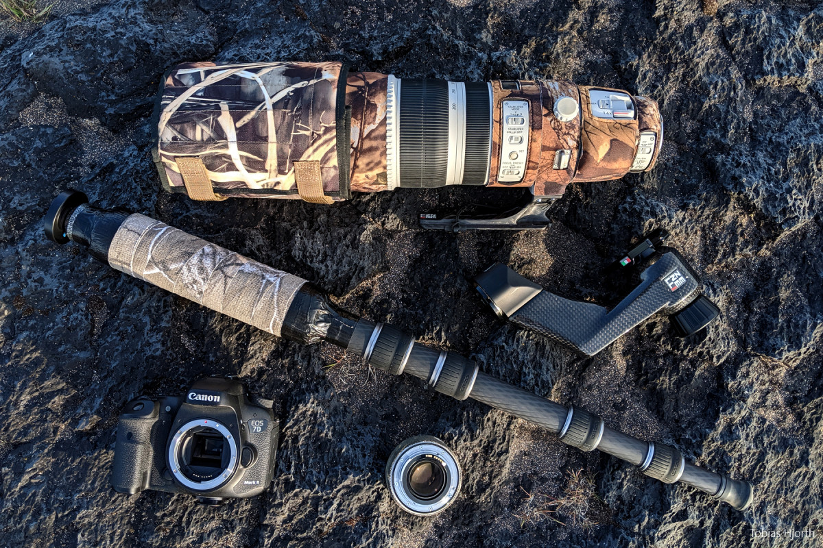 Sigma 200-500mm F2.8 APO EX DG review • Tobias Hjorth Nature Photographer