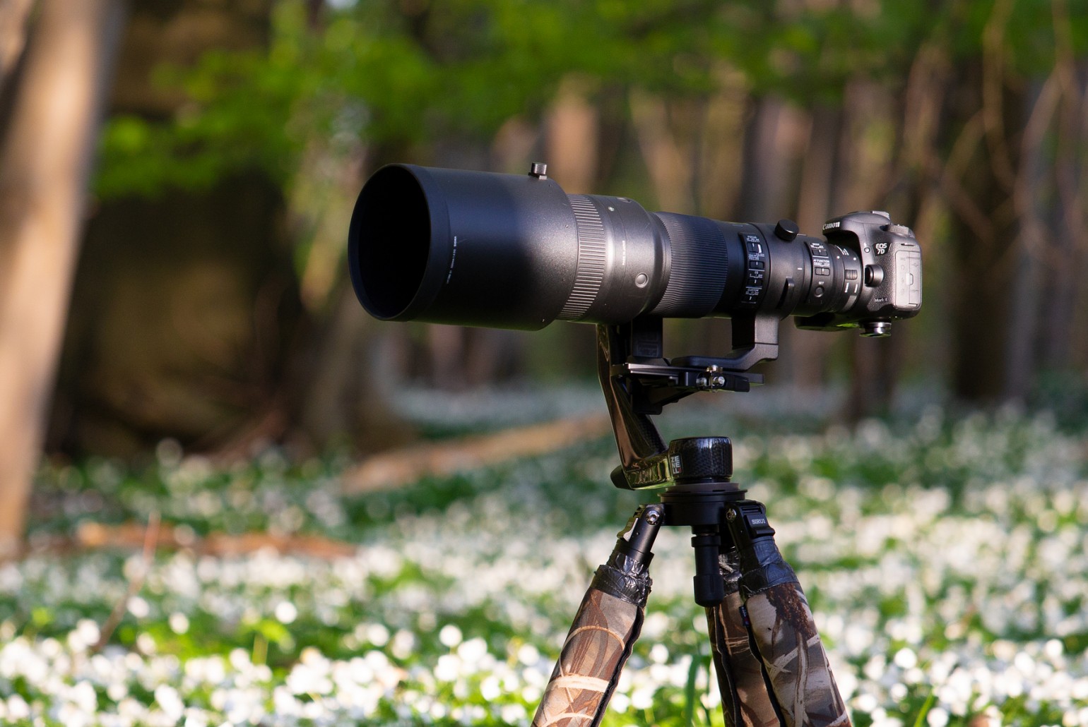 Sigma 200-500mm F2.8 APO EX DG review • Tobias Hjorth Nature Photographer