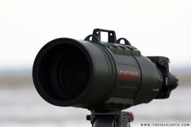 Sigma 200-500mm F2.8 APO EX DG review • Tobias Hjorth Nature Photographer