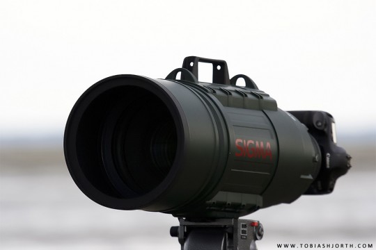 Sigma 200-500mm F2.8 APO EX DG review • Tobias Hjorth Nature Photographer