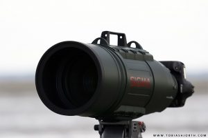 Sigma 200-500mm F2.8 APO EX DG review • Tobias Hjorth Nature Photographer