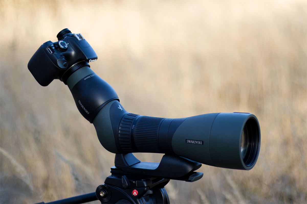 Sigma 200 500mm F2 8 APO EX DG Review Tobias Hjorth Nature Photographer